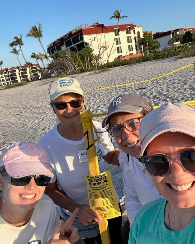 SCCF: First sea turtle nest of season recorded - SANIBEL-CAPTIVA ...